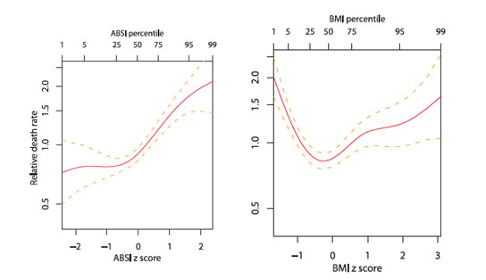 New ABSI Obesity Measure Predicts Early Death Better Than BMI